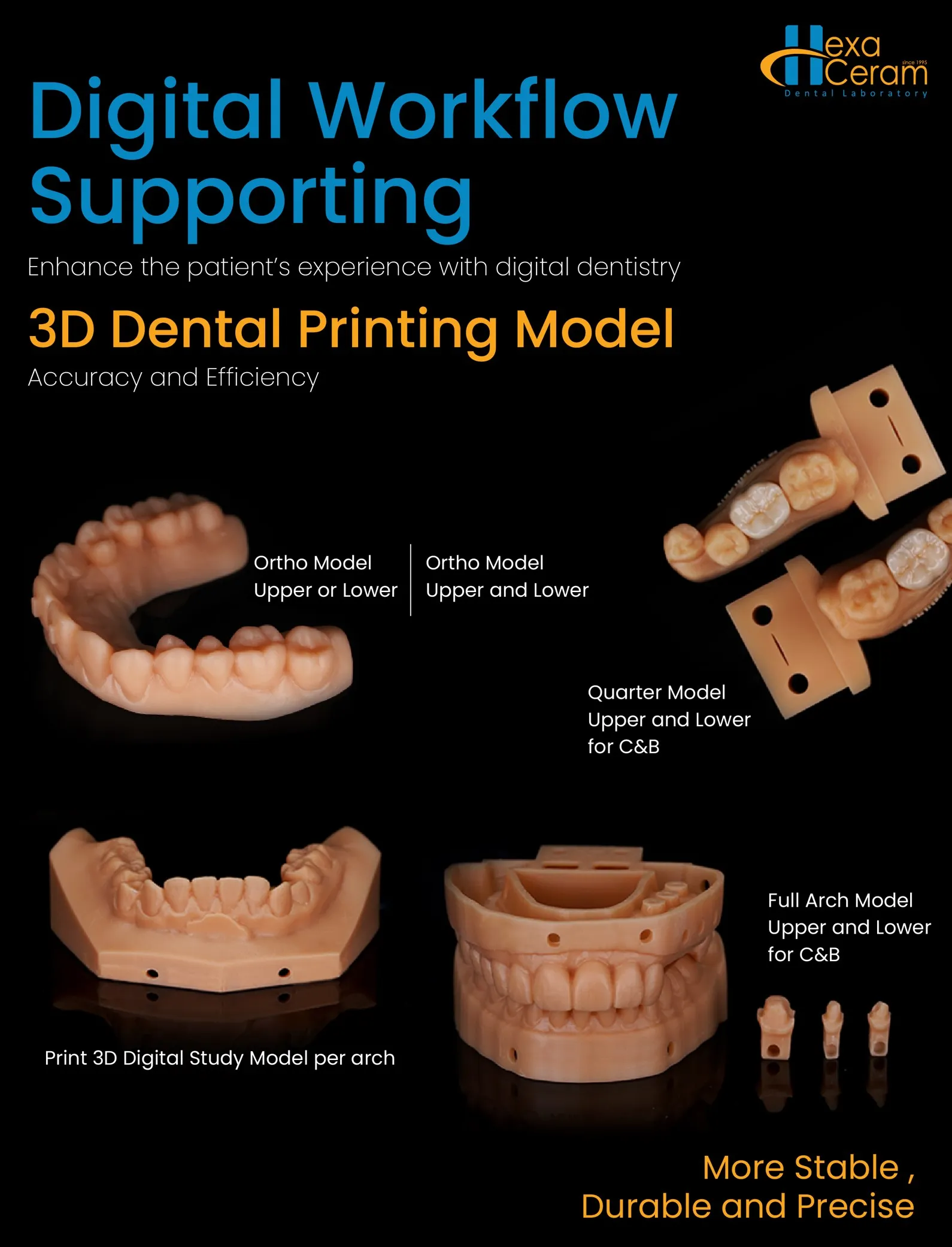 3D PRINTING Model - hexadentallab
